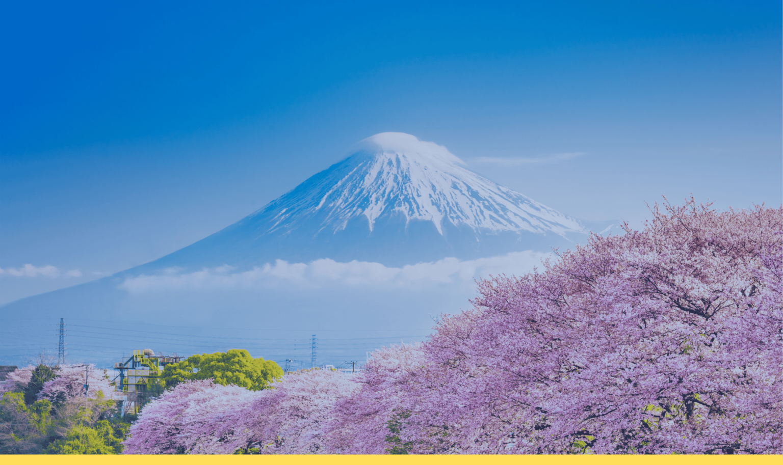 Spring Course - Department of International Relations - Program Studi ...